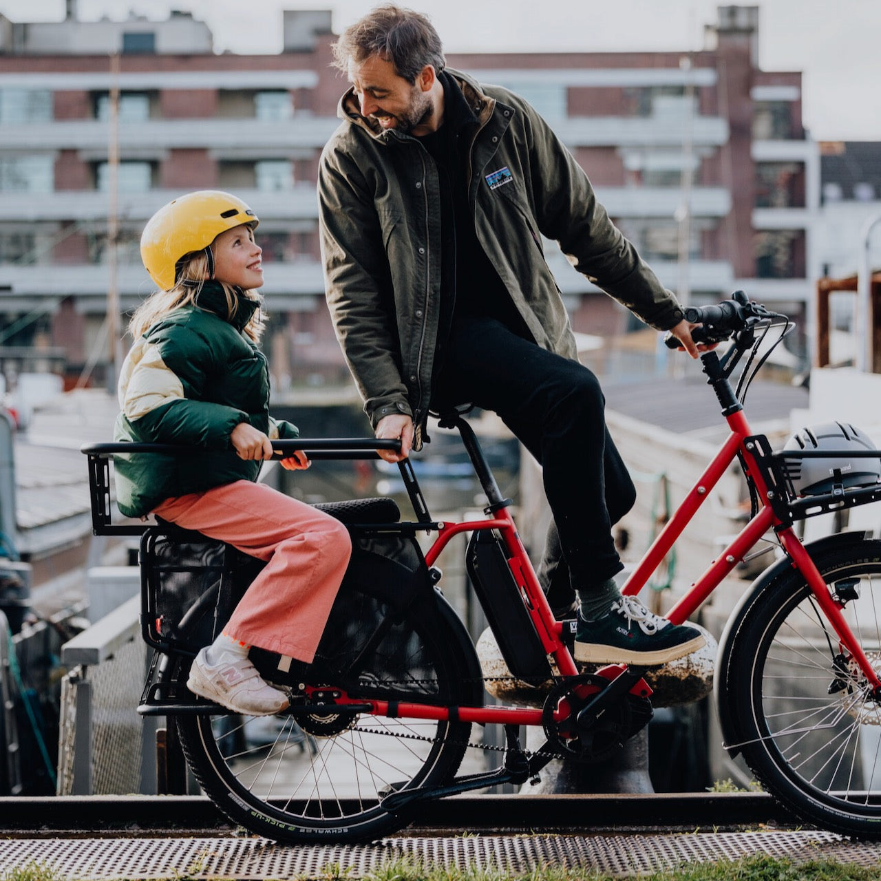 Guide to cargo bike gearing and internal hubs